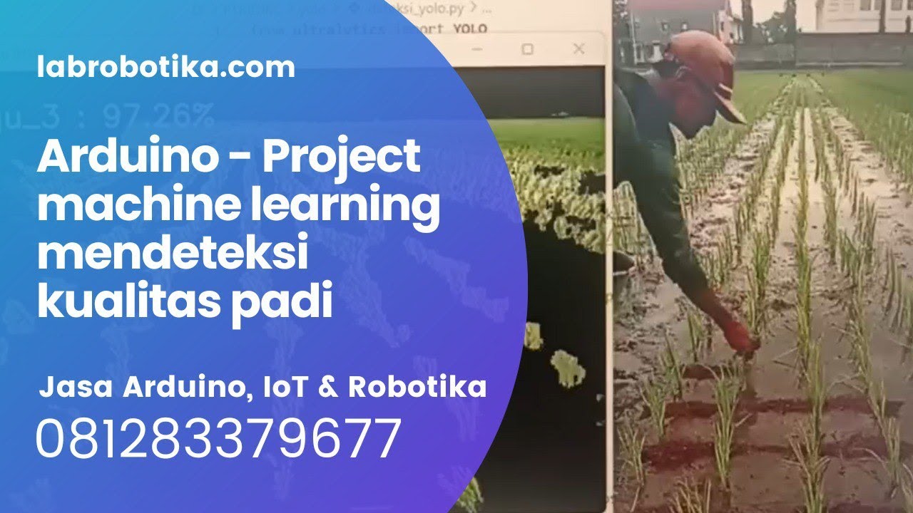 Arduino Project machine learning mendeteksi kualitas padi - Labrobotika